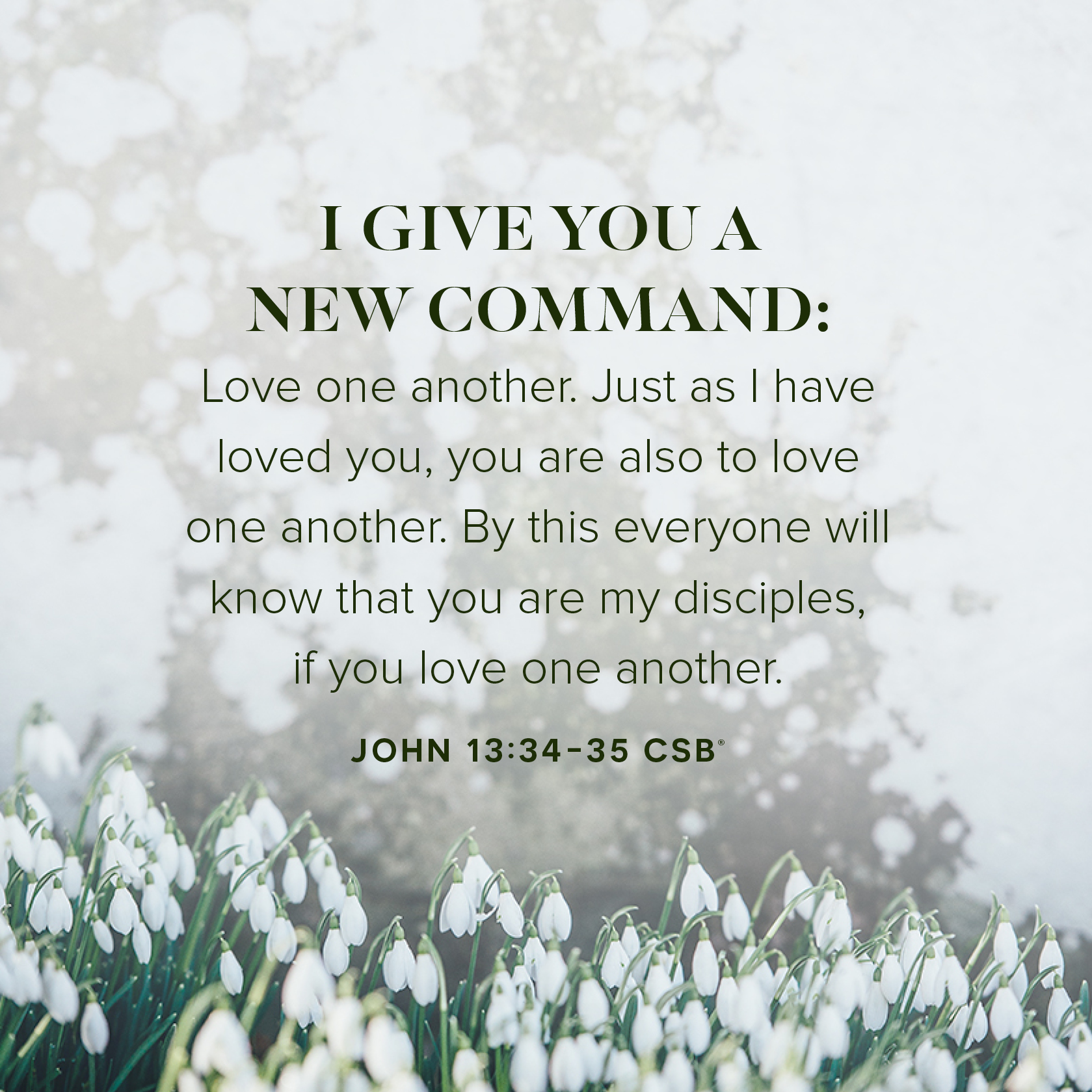 Easter Devotional, Week 2: Jesus' Relationship with Believers - Group ...